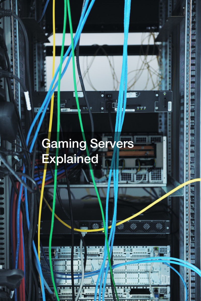 Gaming Servers Explained - The Art Museum